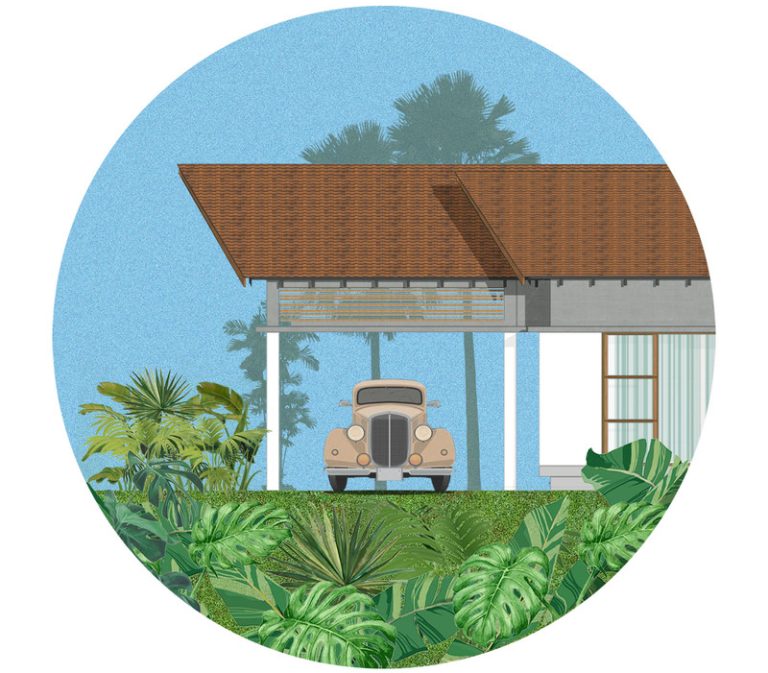 The Mango Tree House | illustrarch