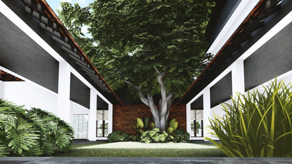 The Mango Tree House | illustrarch