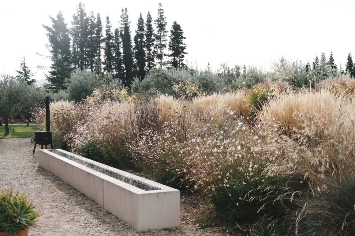 Dry Gardens for Outdoor Design | illustrarch