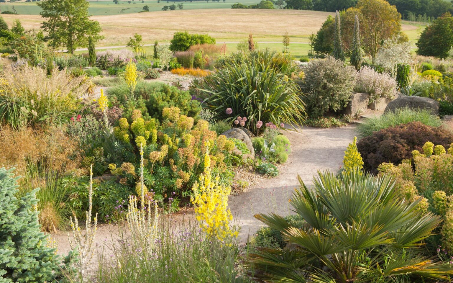 Dry Gardens for Outdoor Design | illustrarch