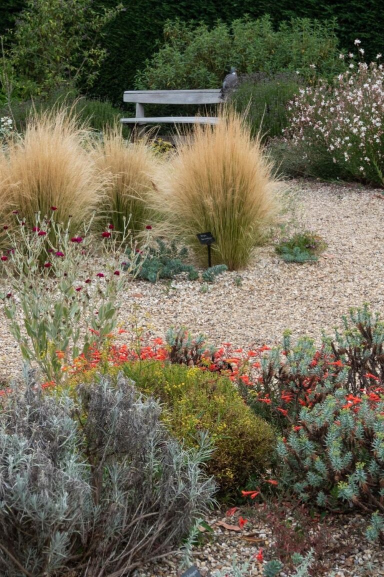 Dry Gardens for Outdoor Design | illustrarch