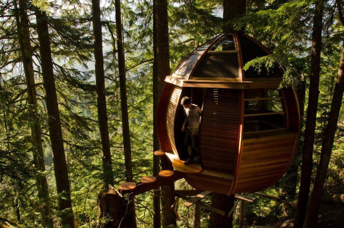 Where Architecture Meets Nature: Treehouses | illustrarch