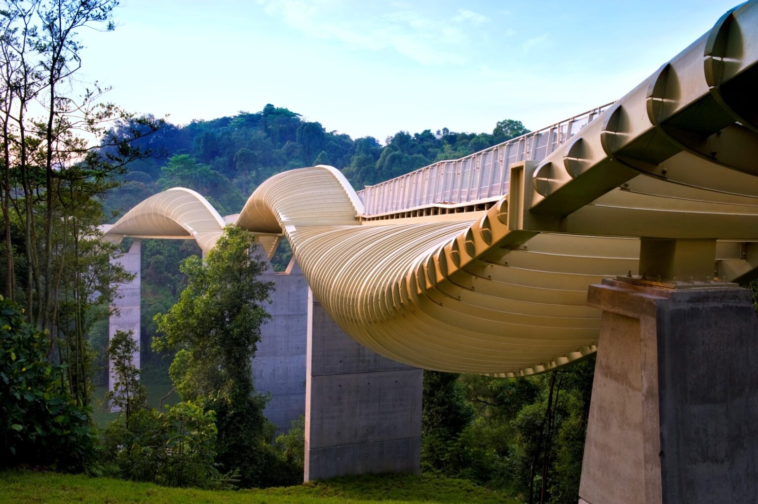 The Most Ingenious Bridge Designs Across the Globe | illustrarch