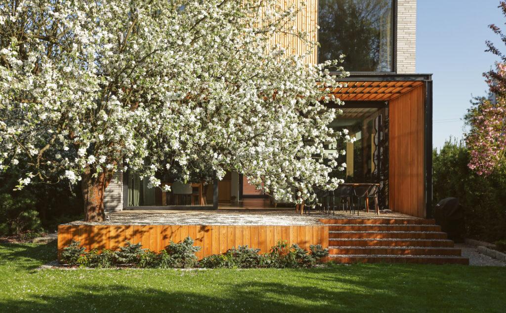 The Apple House | illustrarch