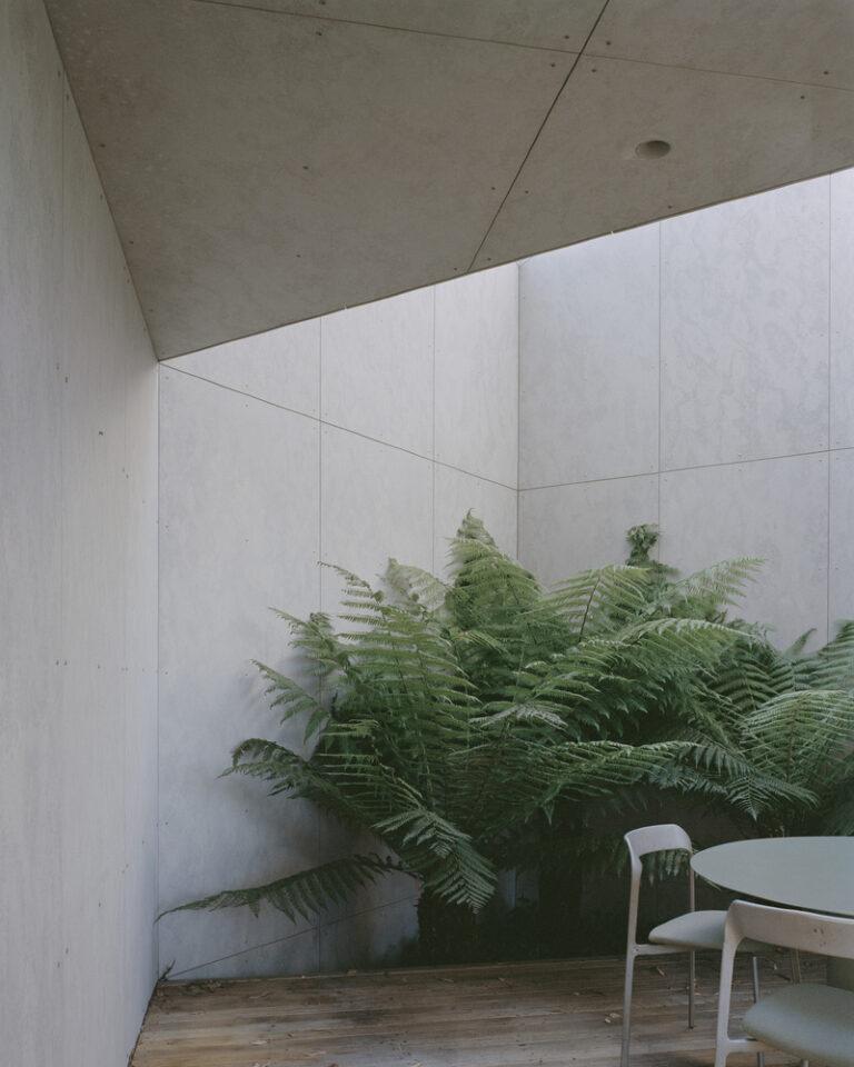 The Mossy Point House: A Symphony of Sustainable Design and Natural ...