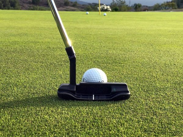 DIY Home Golf Projects: Building Your Own Putting Green | illustrarch