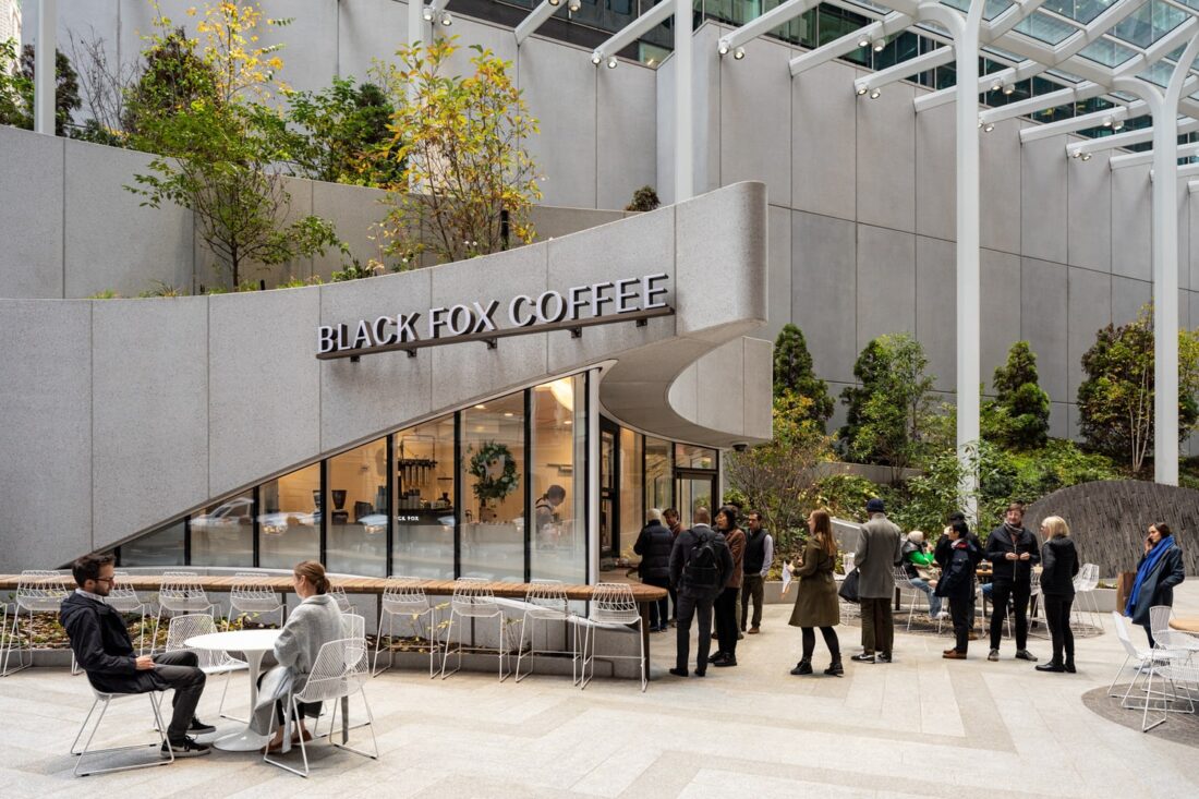 550 Madison Avenue Garden by Snøhetta | illustrarch