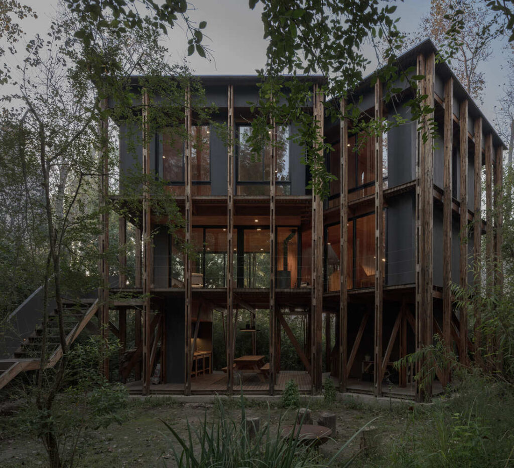 Cabin in the Buenos Aires Delta | illustrarch