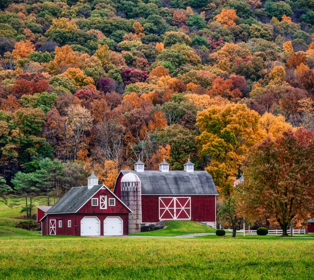How to Design a Barn for Efficiency | illustrarch