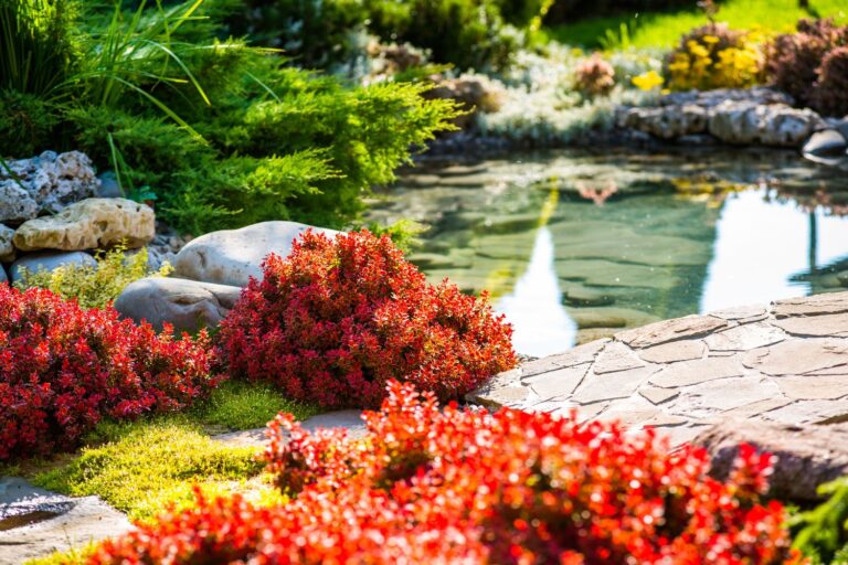 Top 10 Landscape Architecture Books Every Modern Designer Should ...