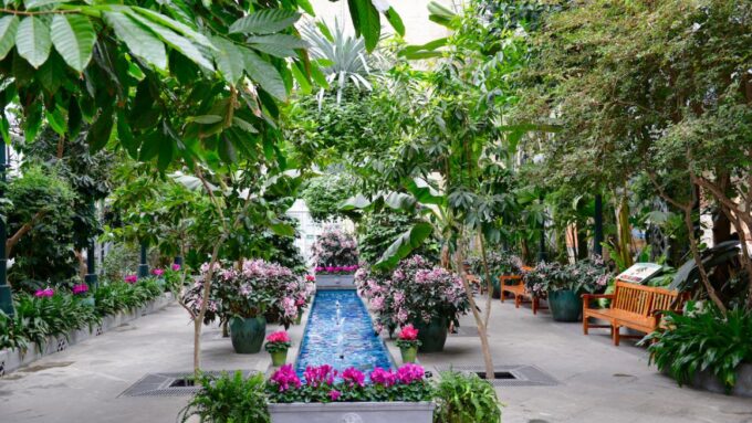 Top Botanic Gardens in the United States: Where We Go For Living ...