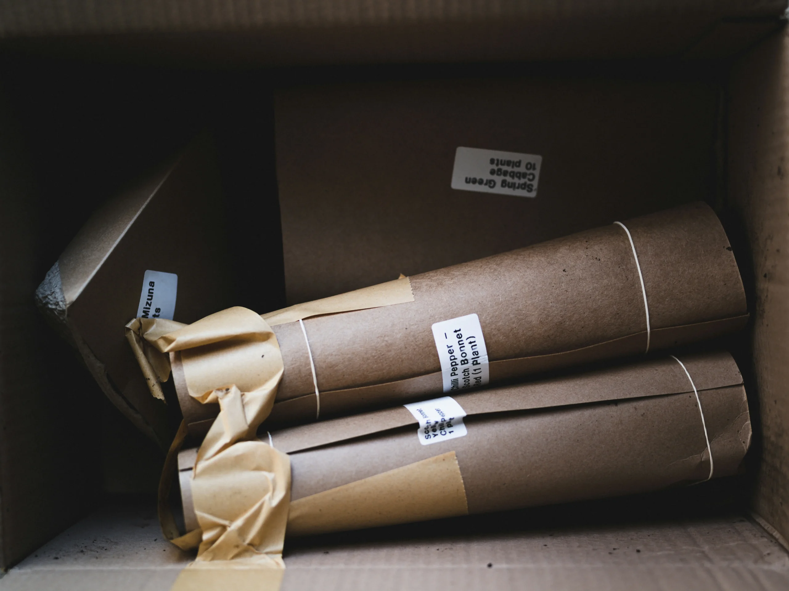 How Real Time Parcel Geolocation Is Redefining Last Mile Efficiency for ...