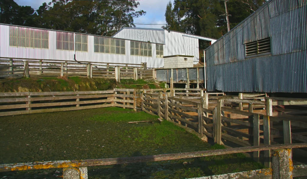 6 Ways Technology Is Transforming Animal Control Practices Today ...